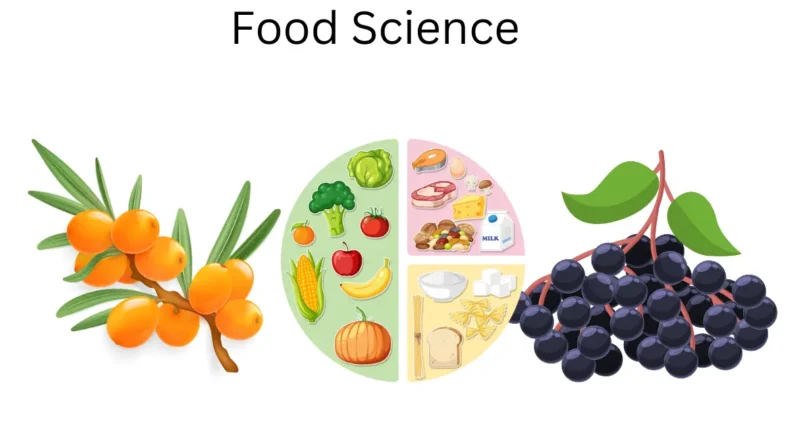 Food Science – Definition, Branches, Importance, and Applications